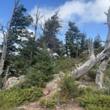 Mount Herman Trail, Colorado - 1,647 Reviews, Map | AllTrails