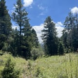 Mount Herman Trail, Colorado - 1,647 Reviews, Map | AllTrails