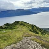 Bird Ridge Trail, Alaska - 969 Reviews, Map | AllTrails