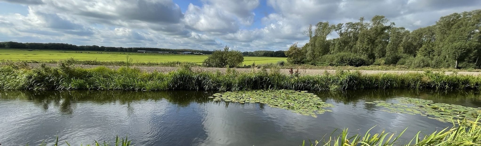 Delftse Hout - Bieslandse Bos - Dobbeplas, South Holland, Netherlands ...