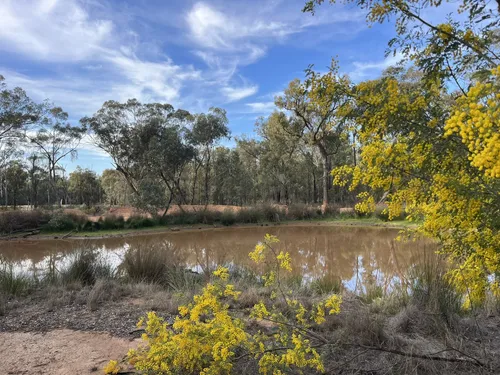 Best Hikes and Trails in Dubbo | AllTrails