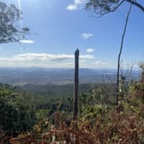 Mount Mitchell Trail, Queensland, Australia - 788 Reviews, Map | AllTrails