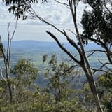 Mount Timbertop: 122 foto - Vittoria, Australia | AllTrails