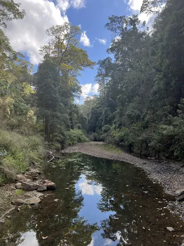 10 Best Trails and Hikes in Mount Mee | AllTrails