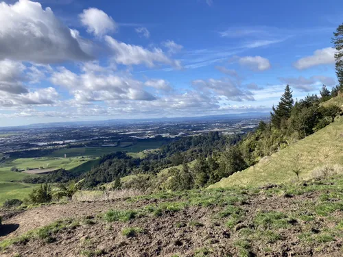 10 Best Trails and Hikes in Te Puke | AllTrails