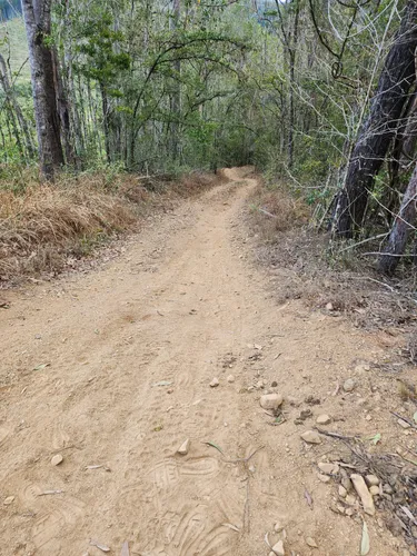 Best Hikes and Trails in Imbil State Forest 1 | AllTrails