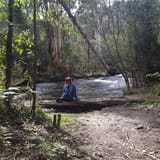 Taggerty River Lookout Loop, Victoria, Australia - 44 Reviews, Map ...
