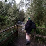 Taggerty River Lookout Loop, Victoria, Australia - 44 Reviews, Map ...