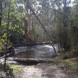 Taggerty River Lookout Loop, Victoria, Australia - 67 Reviews, Map ...
