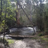Taggerty River Lookout Loop, Victoria, Australia - 67 Reviews, Map ...