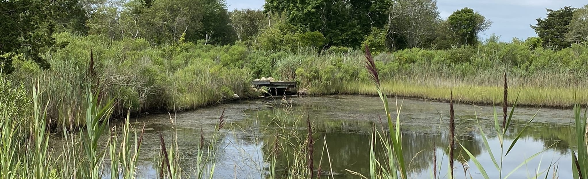 Ninigret Pond Paddle Route, Rhode Island - 8 Reviews, Map | AllTrails