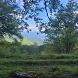 Hemphill Bald via Cataloochee Divide Trail, North Carolina - 356 ...