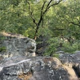 Moss Rock Preserve Trail, Alabama - 954 Reviews, Map | AllTrails