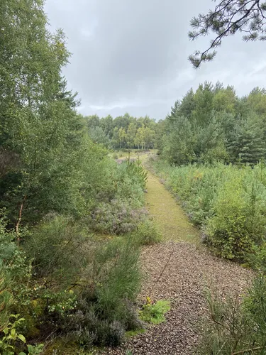 Best Hikes and Trails in Culbin Forest | AllTrails