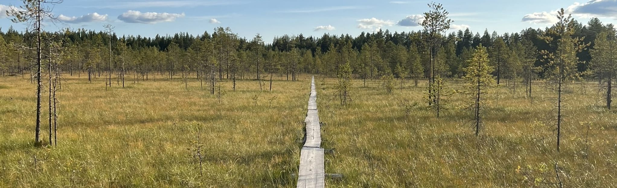 Tiilikka Loop: 79 foto's - Pohjois-Savo, Finland | Wandelen - AllTrails