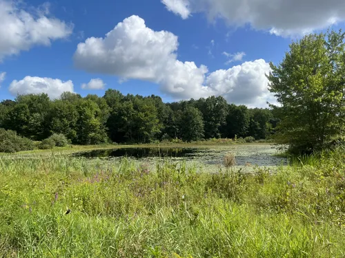 Best Hikes and Trails in Stewart State Forest | AllTrails