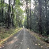 High Point Trail, Washington - 214 Reviews, Map | AllTrails