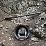 Fulford Cave Trail, Colorado - 43 Reviews, Map | AllTrails