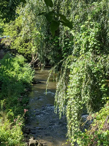 Best Paved Trails in Rochester | AllTrails