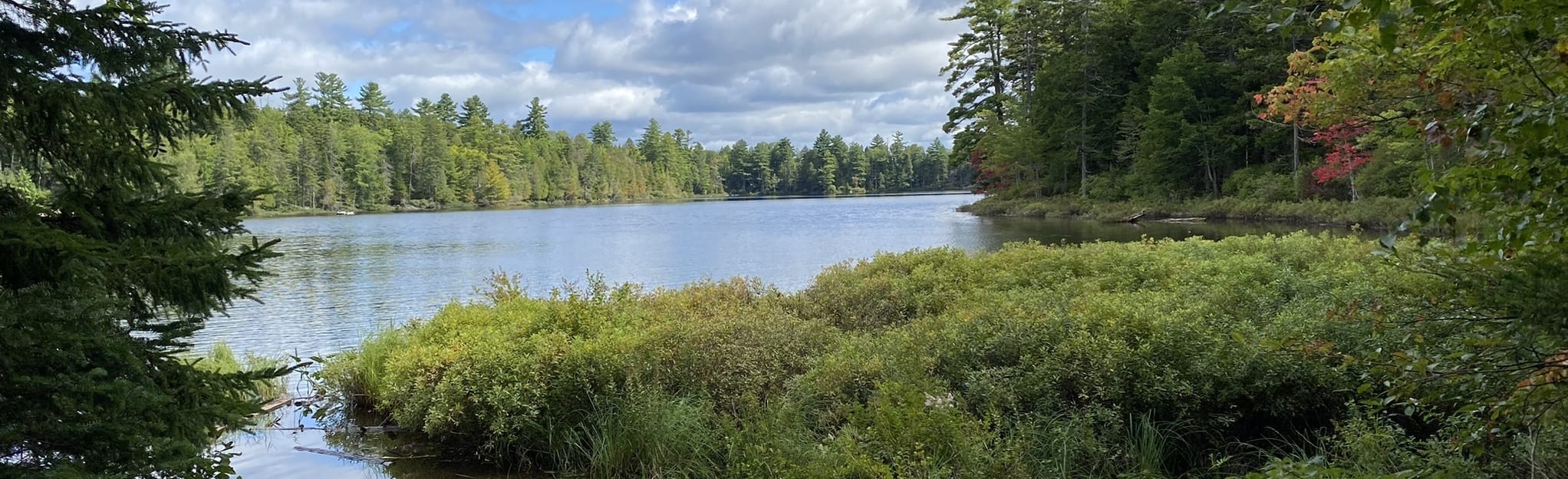 Killarney Lake Trail: 180 Reviews, Map - New Brunswick, Canada | AllTrails