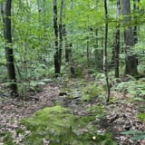 Rock City and McCarthy Hill Loop, New York - 32 Reviews, Map | AllTrails