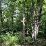 Rock City and McCarthy Hill Loop, New York - 32 Reviews, Map | AllTrails