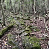 Rock City and McCarthy Hill Loop, New York - 32 Reviews, Map | AllTrails