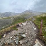 Matanuska Peak Trail, Alaska - 276 Reviews, Map | AllTrails