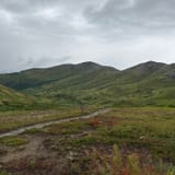 Matanuska Peak Trail, Alaska - 276 Reviews, Map | AllTrails