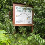 Matanuska Peak Trail, Alaska - 339 Reviews, Map | AllTrails