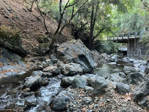 Best Hikes and Trails in Upper Stevens Creek County Park | AllTrails