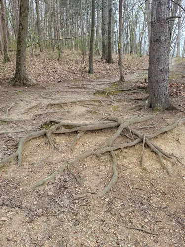 Best Hikes and Trails in Codorus State Park | AllTrails