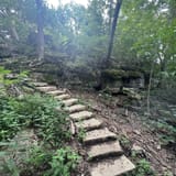 Limestone Gorge Loop, Kentucky - 539 Reviews, Map | AllTrails