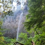 Watson Falls, Oregon - 998 Reviews, Map | AllTrails