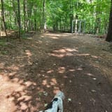 Pinhey Forest 31 Trail, Ontario, Canada - 646 Reviews, Map | AllTrails