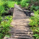 Pinhey Forest 31 Trail, Ontario, Canada - 646 Reviews, Map | AllTrails