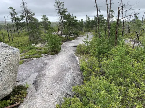 Best Hikes and Trails in Mcintosh Run Regional Park | AllTrails