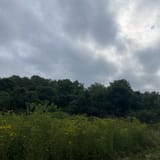 Louisville Loop, Kentucky - 286 Reviews, Map | AllTrails