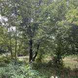 Louisville Loop, Kentucky - 286 Reviews, Map | AllTrails