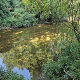 Okehocking Preserve Loop, Pennsylvania - 1,044 Reviews, Map | AllTrails