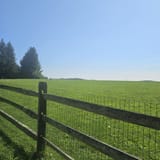 Okehocking Preserve Loop, Pennsylvania - 1,044 Reviews, Map | AllTrails