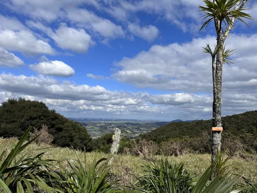 2023 Best Walking Trails in Kaiwaka | AllTrails