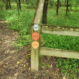 Hickory Ridge Outer Trail, Tennessee - 385 Reviews, Map | AllTrails