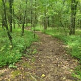Hickory Ridge Outer Trail, Tennessee - 385 Reviews, Map | AllTrails