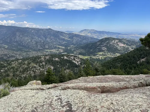 2023 Best Forest Trails in Pinewood Springs | AllTrails