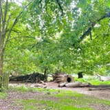 Knole Park Easy Access Trail, Kent, England - 60 Reviews, Map | AllTrails