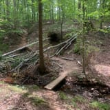 Bull Run-Occoquon Trail: Centreville Road to Hemlock Overlook Park ...