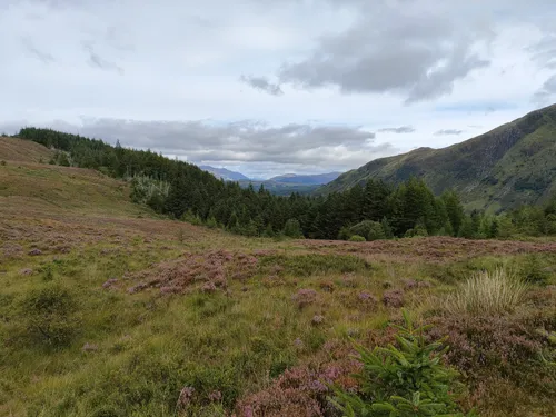 10 Best Trails and Hikes in Fort William | AllTrails