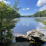 Benedict Pond Loop Trail, Massachusetts - 695 Reviews, Map | AllTrails