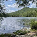 Benedict Pond Loop Trail, Massachusetts - 695 Reviews, Map | AllTrails